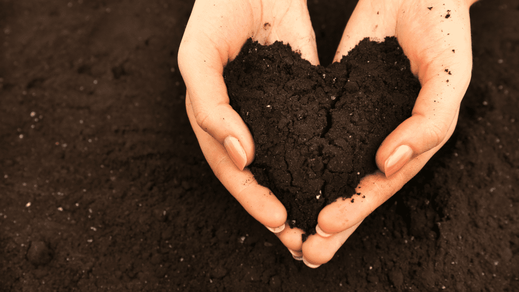 Cremation or Burial? A Comprehensive Guide to Help You Decide | Tobin ...